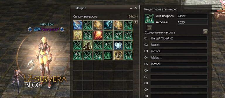 Macros in Lineage 2 - Complete Guide